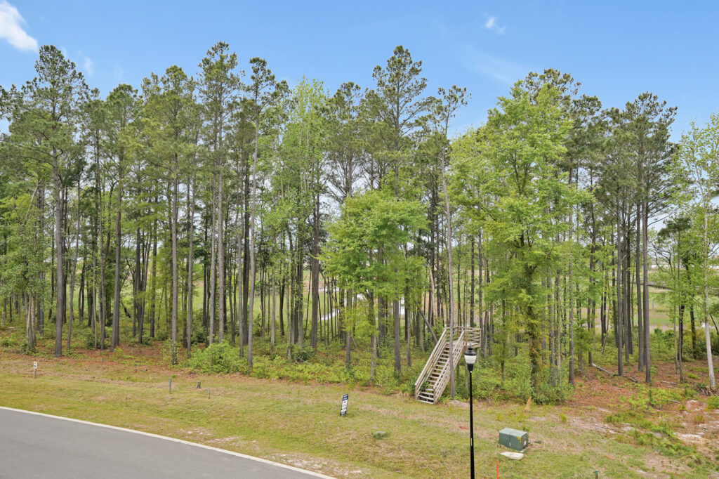 1620 Riverview Terrace (Lookout Plan) - Michael Christian Homes